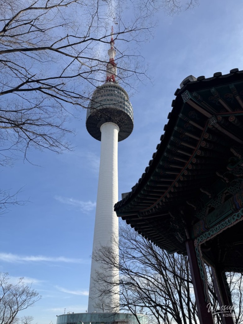 Namsan Seoul Tower Dining: A Flavorful Escape at Owl
