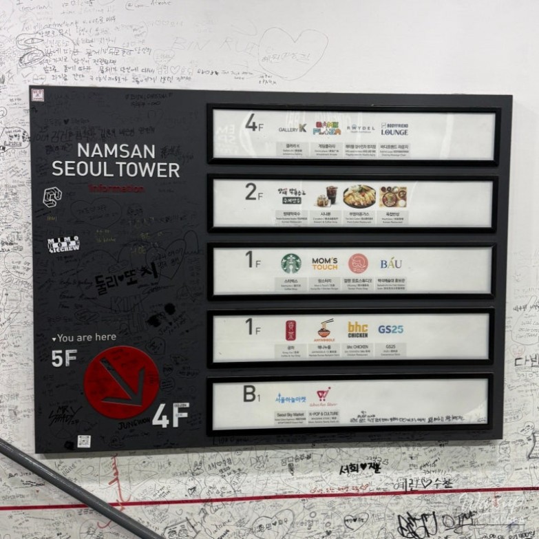 Namsan Seoul Tower Dining: A Flavorful Escape at Owl