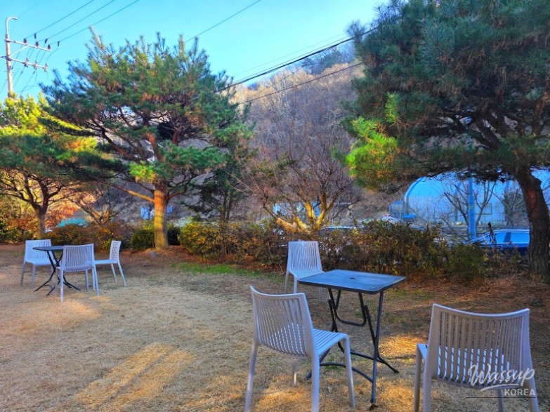 A Cozy Getaway: Cafe Stay Near Cheonggye Mountain