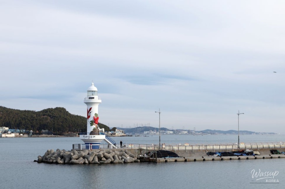 Exploring the Scenic Lighthouses of Gijang