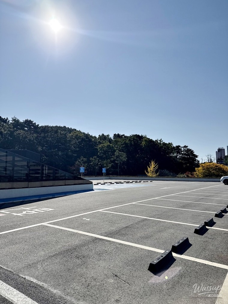 A Delicious Eel Experience at Pumjang in Eulwangri