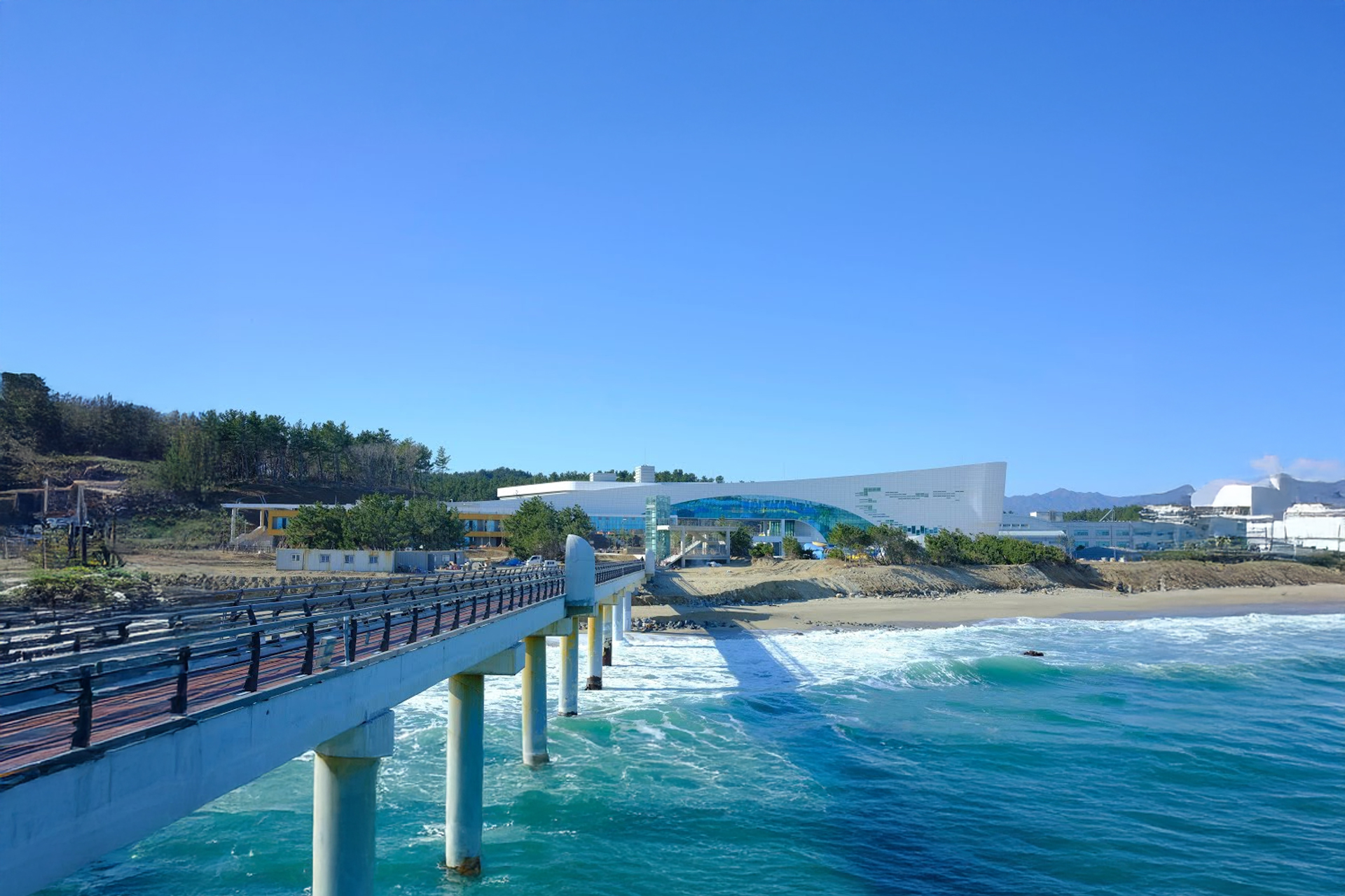 Walk Under the Sea: Korea’s Incredible Marine Science Museum
