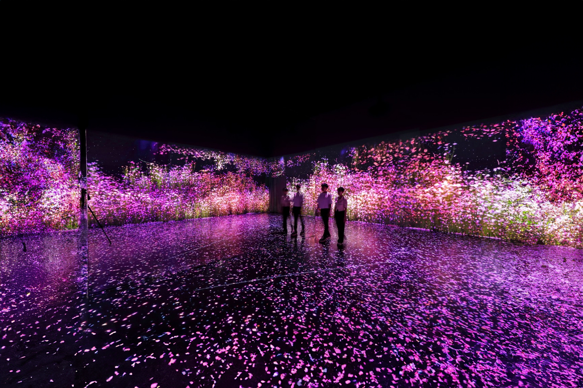 Discovering the Hidden Gems of Jeju Island in January